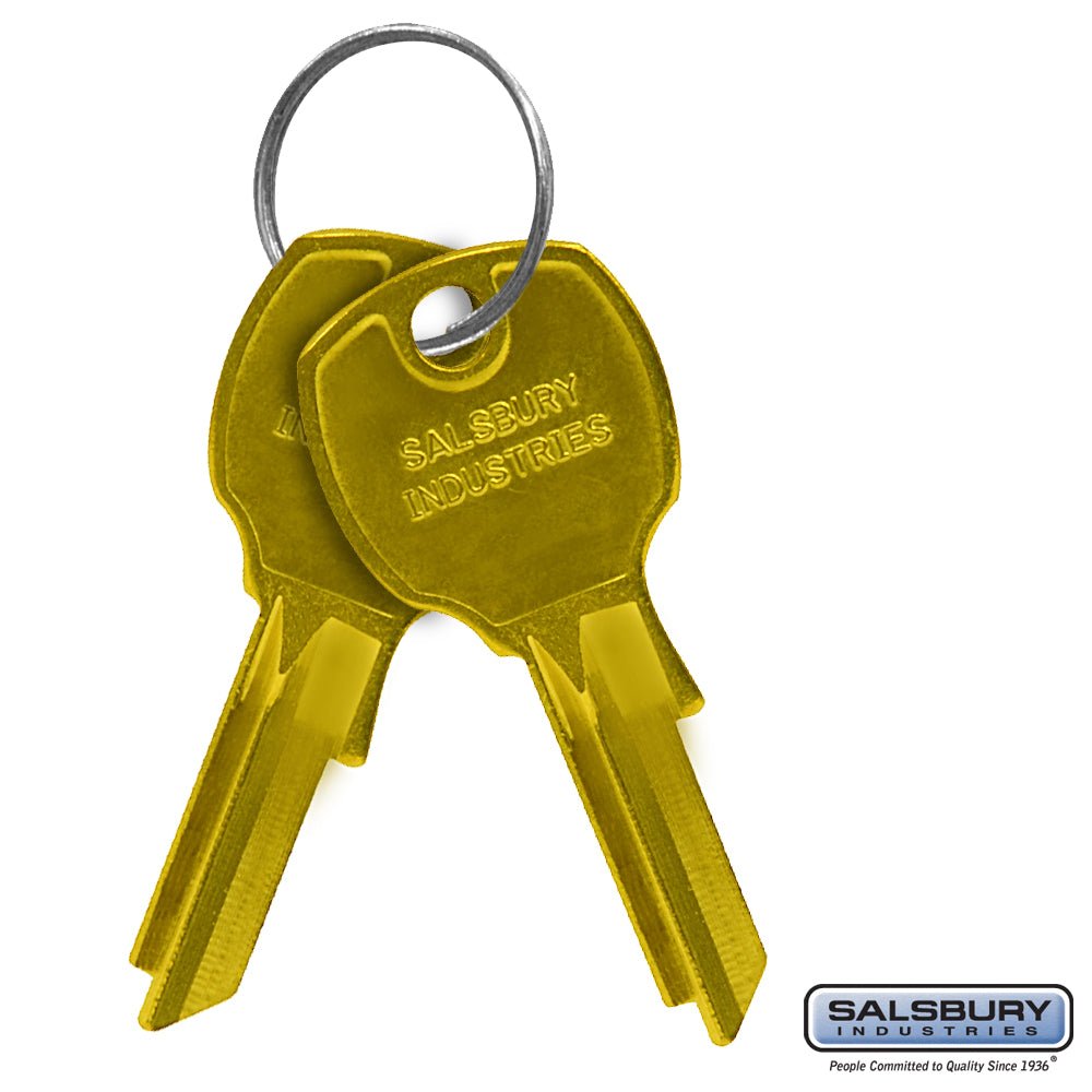 Key Blanks for Standard Locks of Vertical Mailboxes - Box of 50 – PROARB