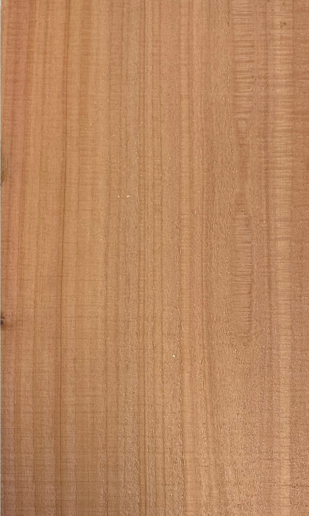 5/8-in x 6-in x 6-ft Redwood Dog Ear Fence Picket – PROARB