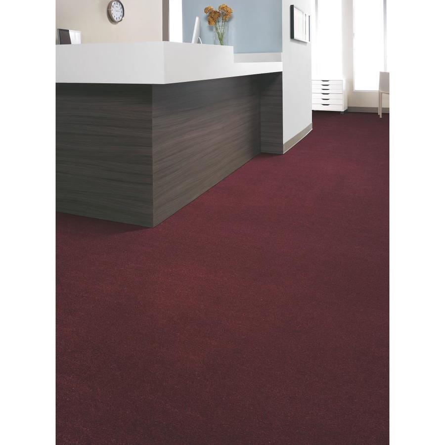 Mohawk Home & Office Sophisticated Look 30 Brandy Textured Carpet Samp ...