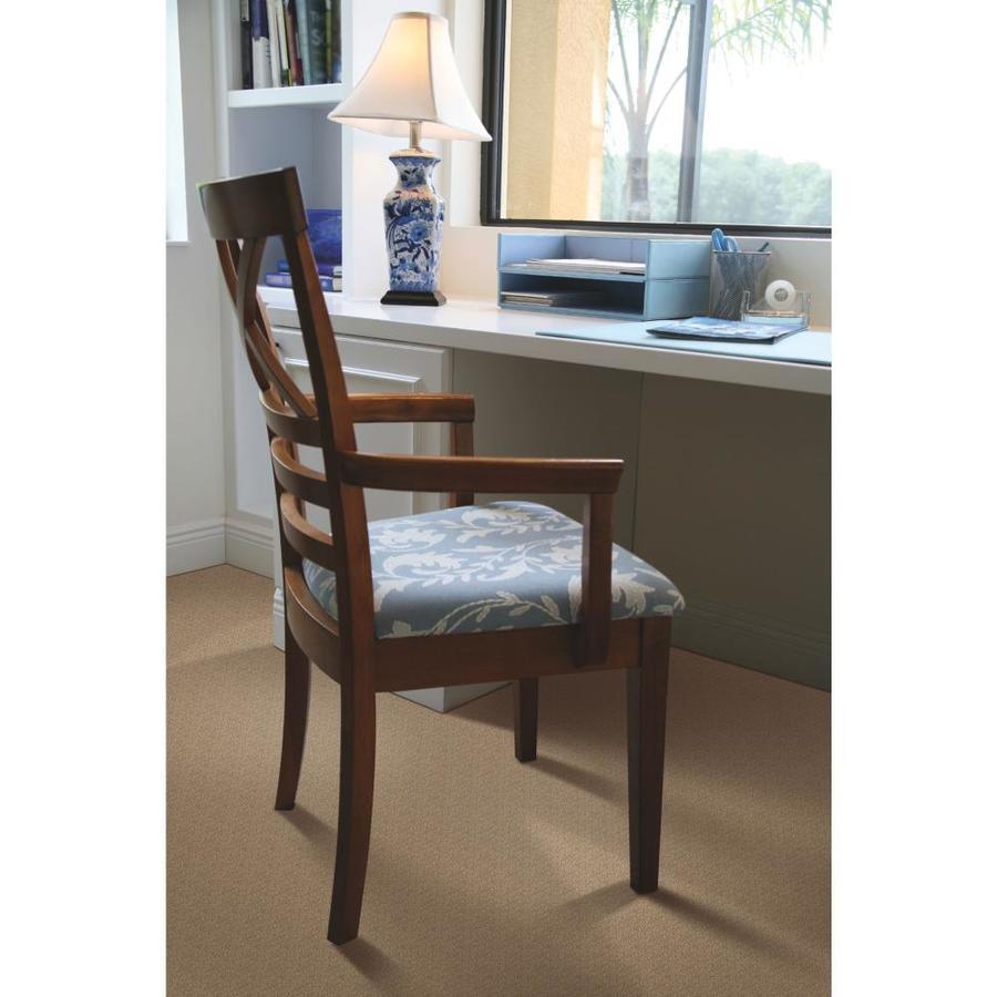 Mohawk Home & Office Classy Style Brandy Textured Carpet Sample (Inter ...