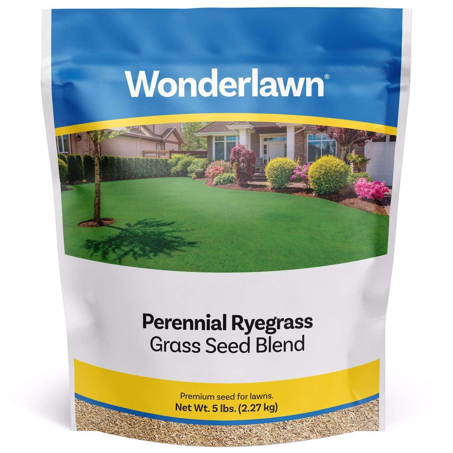 Barenbrug Wonderlawn Perennial Ryegrass Partial Shade/Sun Grass Seed 1 ...