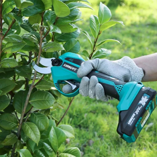 Liangye Brushless Battery Gardening Tools Zbp770-1L 20V Cordless Elect ...