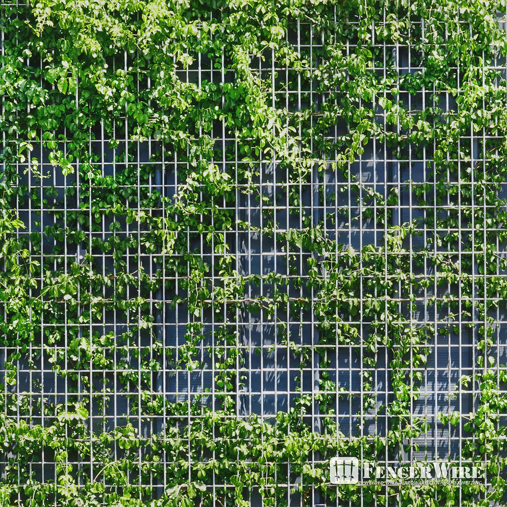 Fencer Wire 3 ft. x 25 ft. 16-Gauge Welded Wire Fence, Mesh Size 1/2 i ...