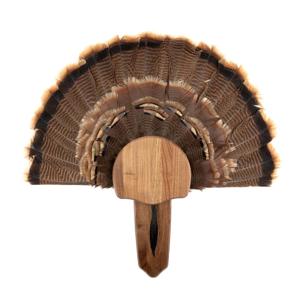 Walnut Hollow Solid Walnut Turkey Mount Kit – PROARB