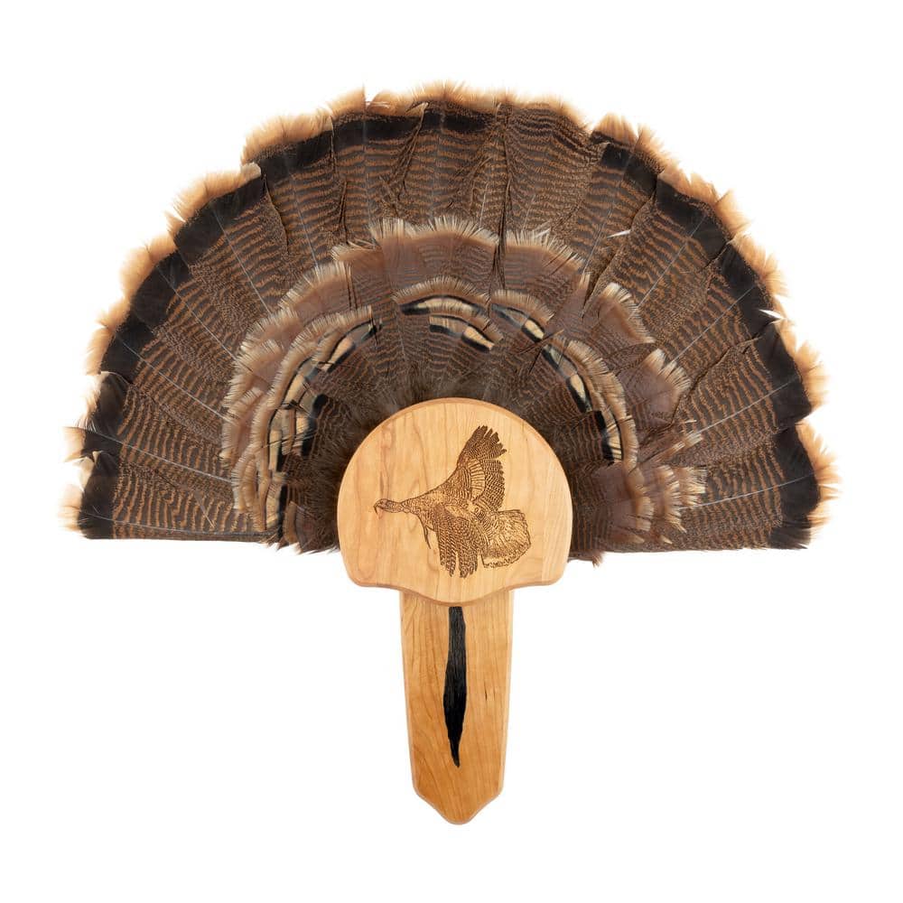 Walnut Hollow Solid Cherry Turkey Mount Kit with Taking Flight Engravi ...